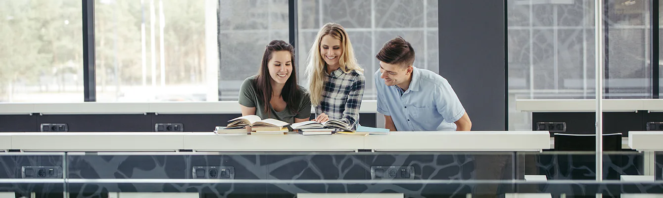 Faculty - ICC Italia Comitato Nazionale Italiano dell'International ...